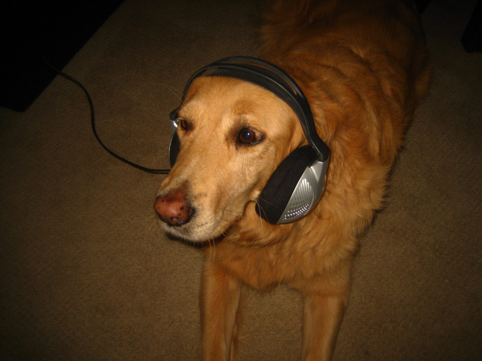 Ruby Slippers - CIUT.FM